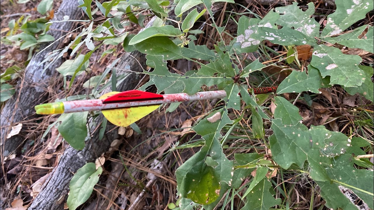 HUNTING DEVOTIONAL | Philippians 4:13 - YouTube