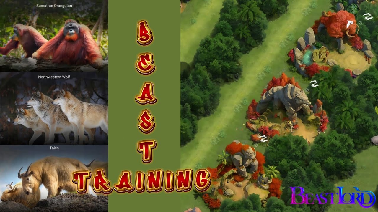 Beast Training Day for Beast Lord: The New Land - YouTube