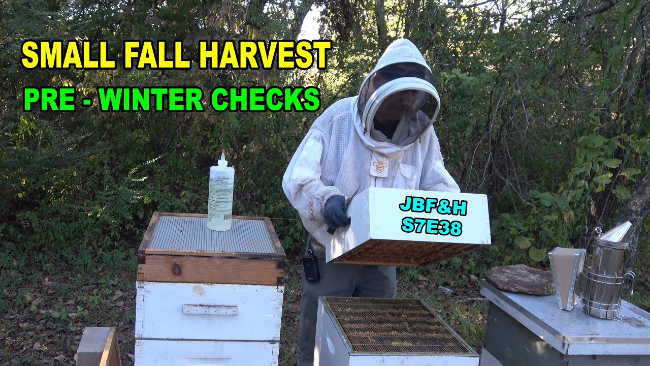 Fall Harvest & Queen Right Checks S7E38 #beekeeping - YouTube