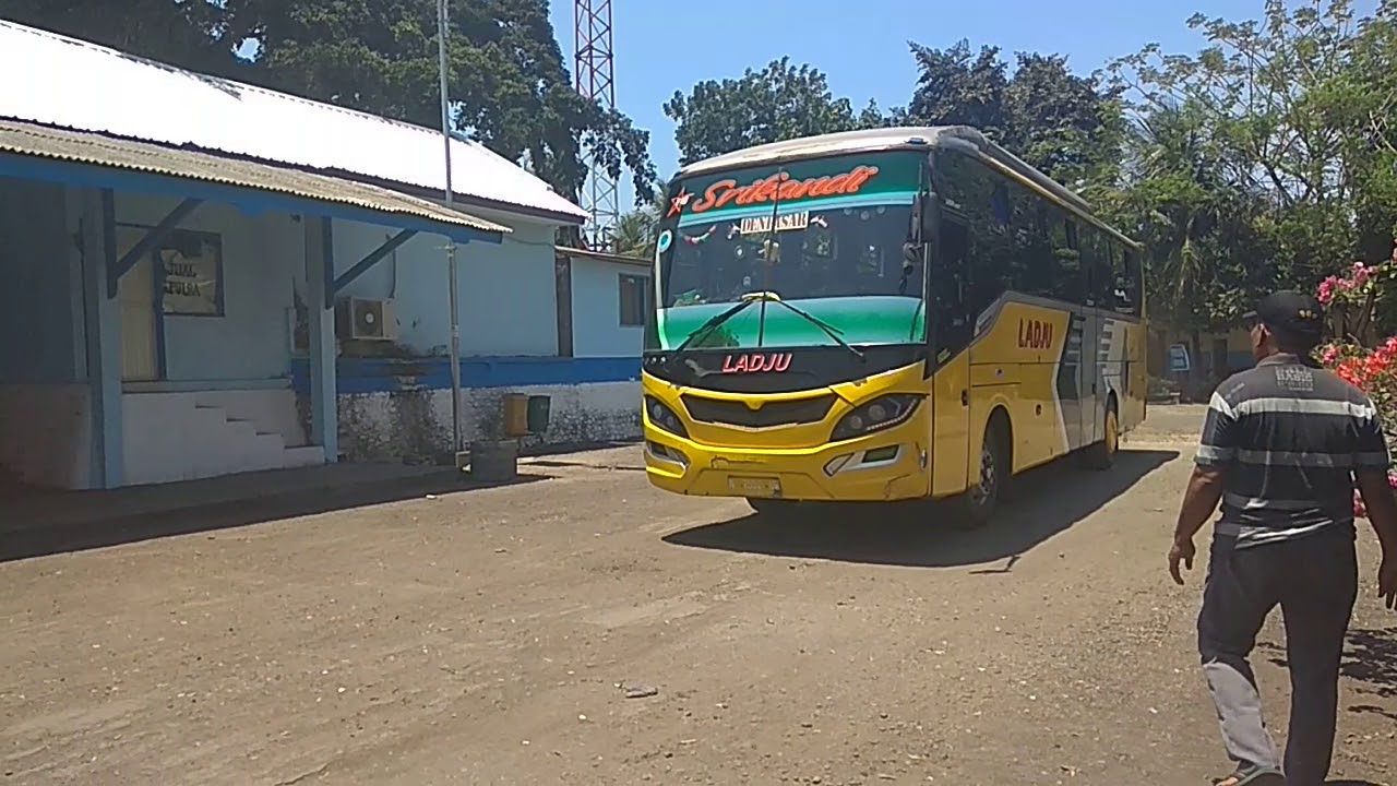Bus LADJU Aka RATU DEWATA Memasuki Terminal Karangente Banyuwangi - YouTube