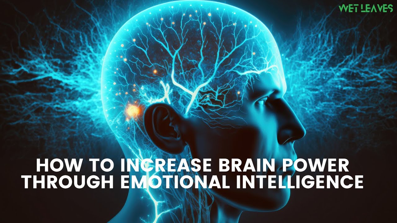 How To Increase Brain Power Through Emotional Intelligence YouTube how-to-increase-brain-power-through-emotional-intelligence-youtube