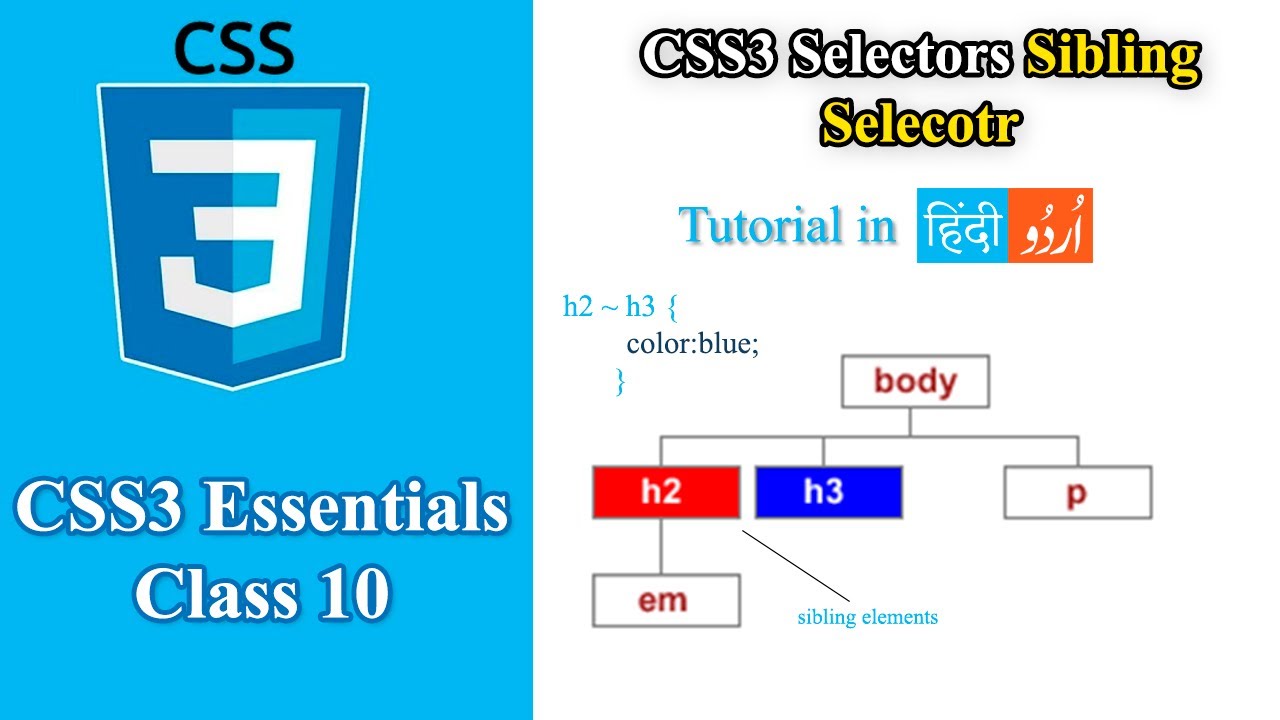 Css3 Tutorial For Beginners In Hindiurdu How To Use Css3 Selectors Part 2 Class 10 Youtube