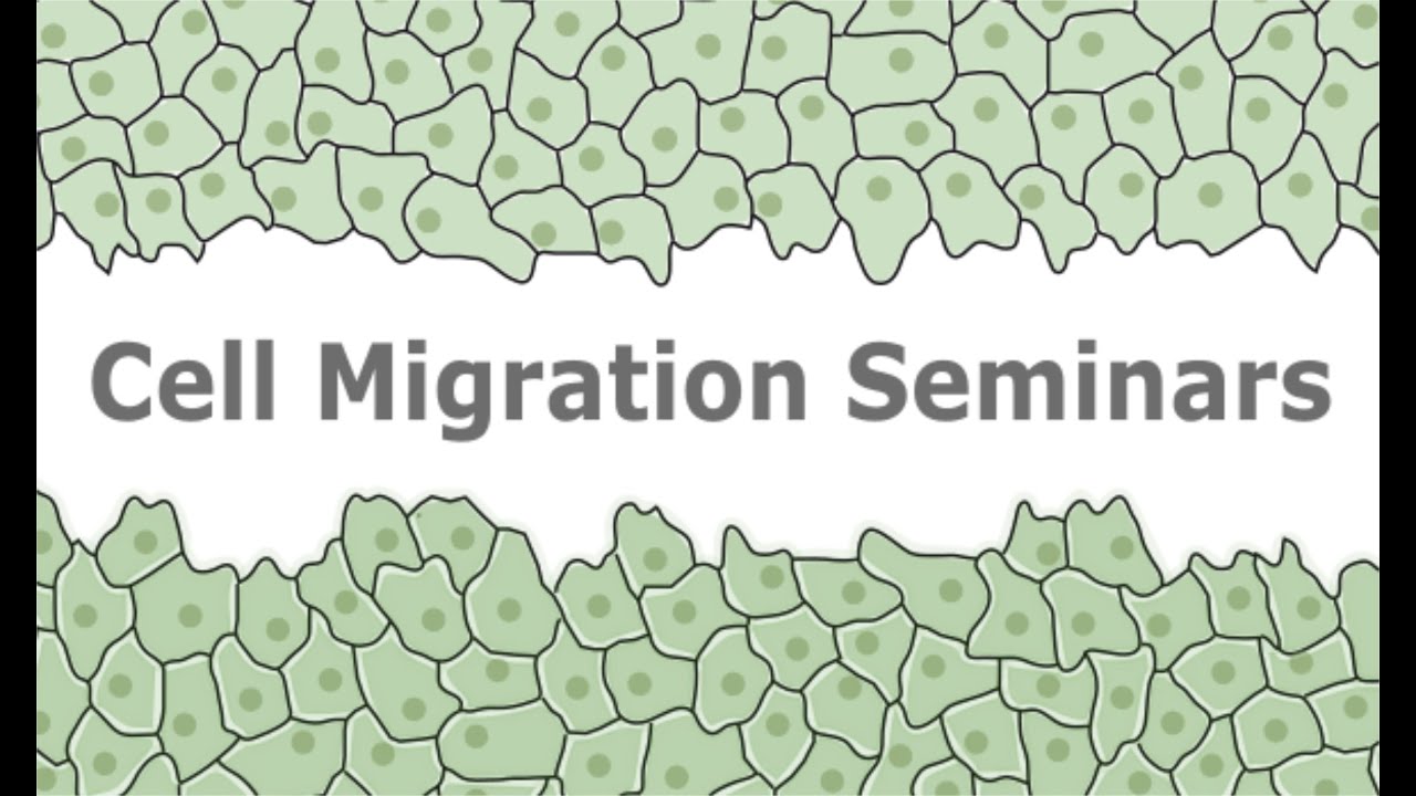 Cell Migration Seminar #14: Laura Machesky & Tim Fessenden - YouTube