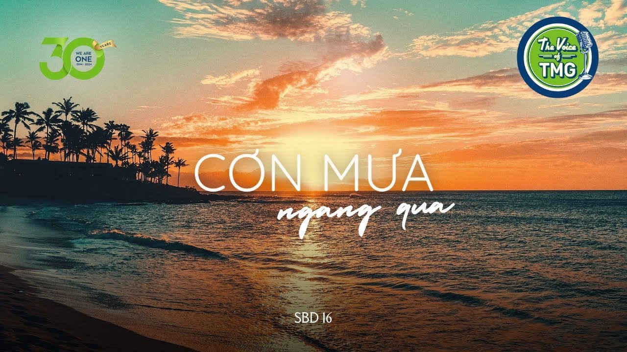 [The Voice of TMG] SBD16 - Cơn mưa ngang qua - YouTube