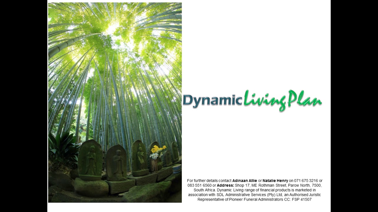 Dynamic Living Presentation - YouTube