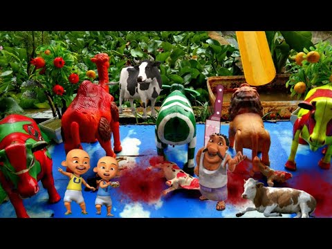 WADIDAU‼️PROSES POTONG SAPI QURBAN MERAKIT KEPALA SAPI MELAHIRKAN CESAR ...