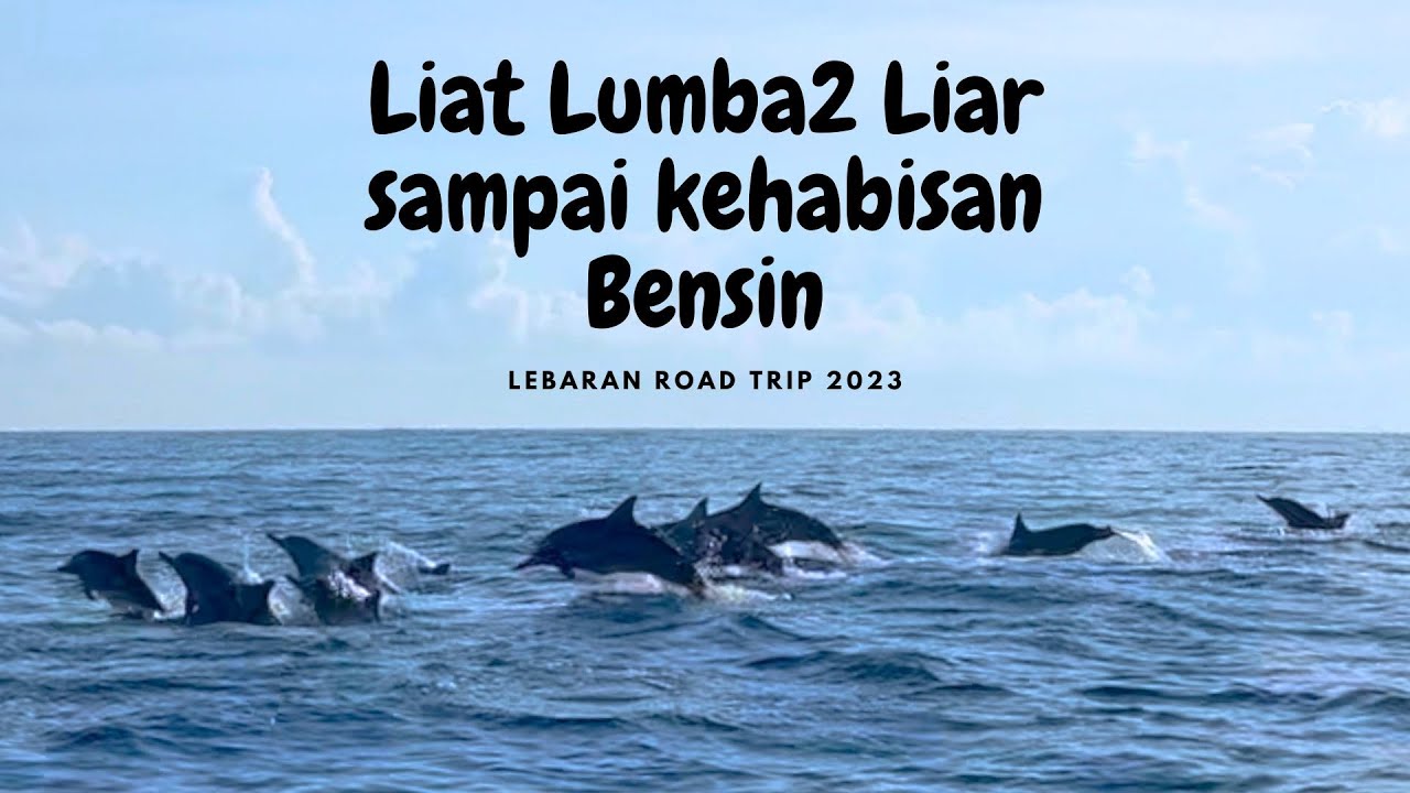 Pertama kali liat Lumba2 liar sampai kehabisan bensin. - YouTube