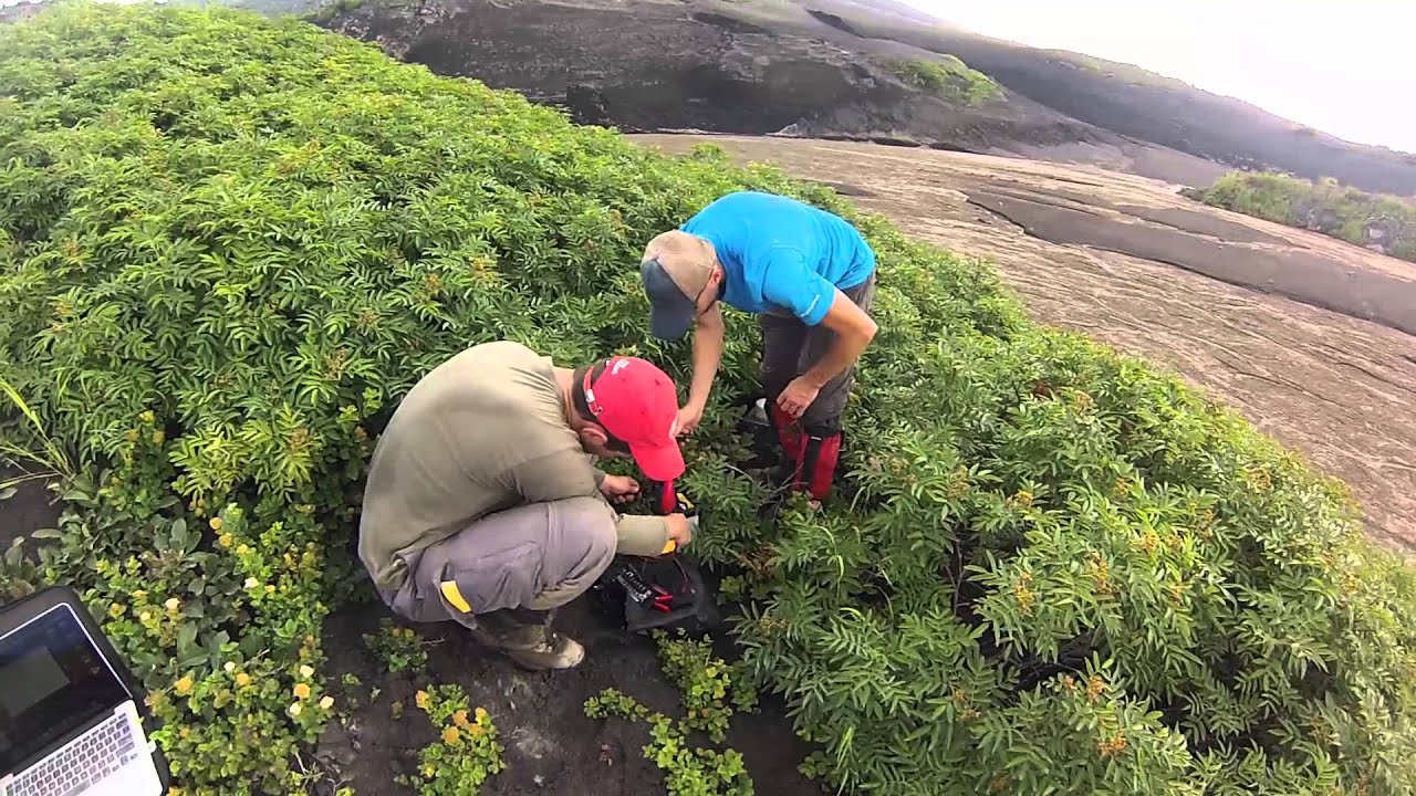 2014 Volcanology Field School, fieldwork near Karymsky Volcano - YouTube