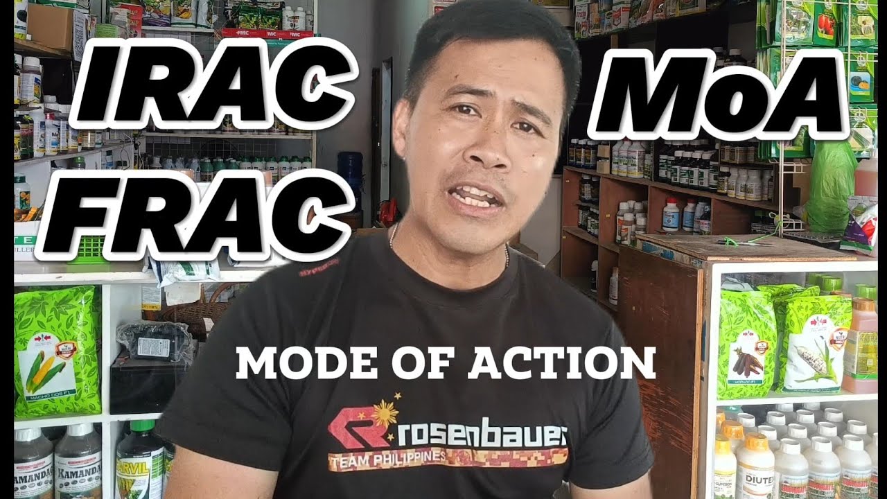 PAANO GAMITIN ANG INSECTICIDE AT FUNGICIDE NG TAMA GAMIT ANG IRAC AT ...