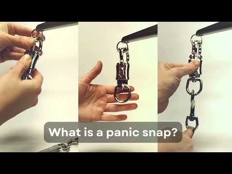 Revolutionizing Dog Grooming Safety with the Groomer Essentials Panic Snap
