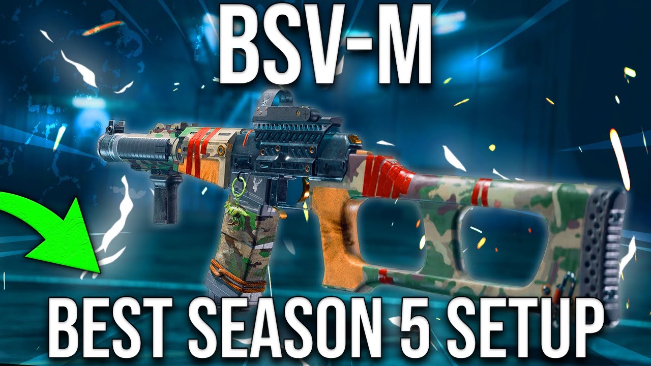 This INSANE BSV-M Setup will be the BEST Weapon you use in Season 5 ...