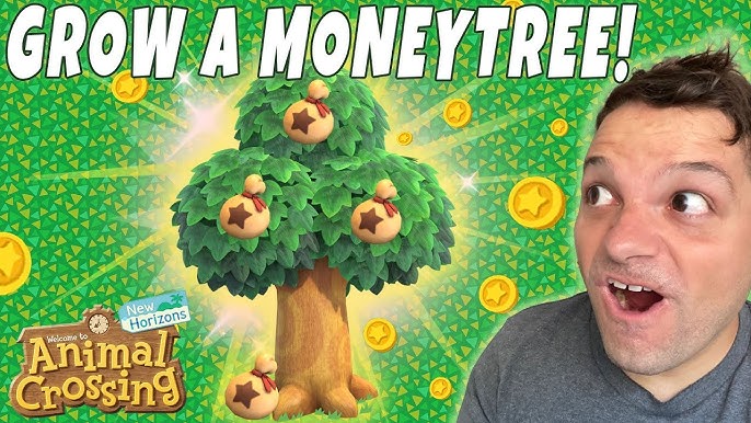 ACNH | Money Tree Guide - How to Grow & Limit | Animal Crossing