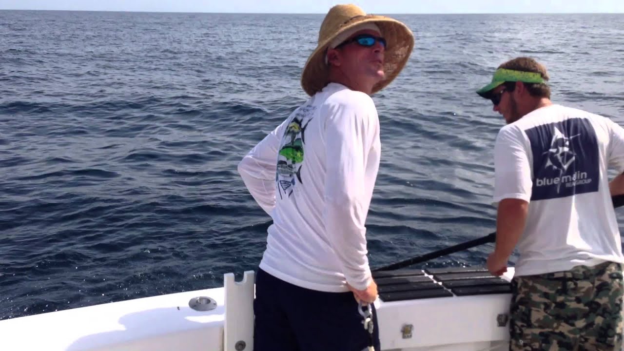 Ridgeback Shark Catch - YouTube