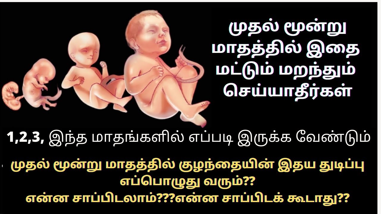 First 3 Months Of Pregnancy In Tamil First Month Of Pregnancy Second Month Of Pregnancy In first-3-months-of-pregnancy-in-tamil-first-month-of-pregnancy-second-month-of-pregnancy-in