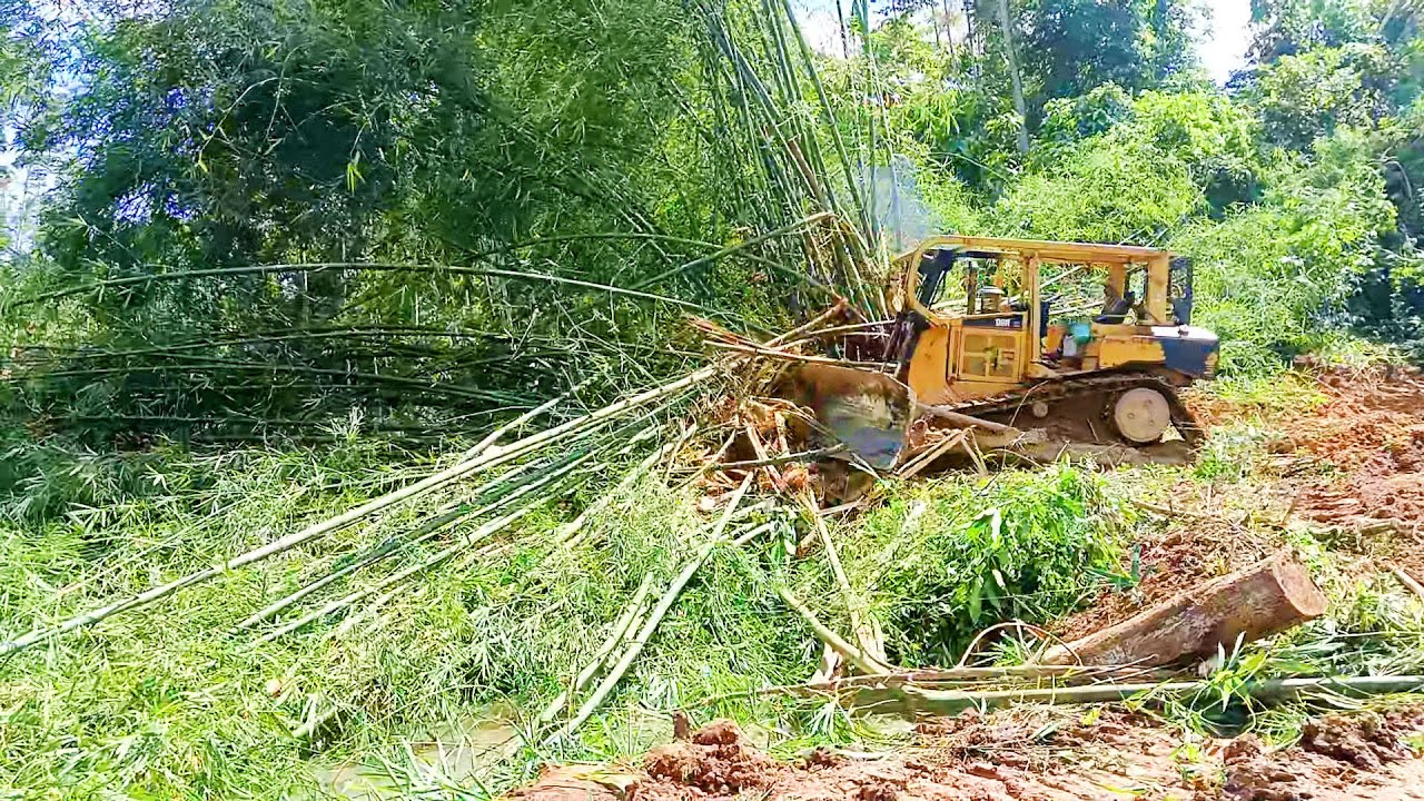 Breaking Bamboo Trees With the D6R XL Bulldozer, Try to Watch This Very ...