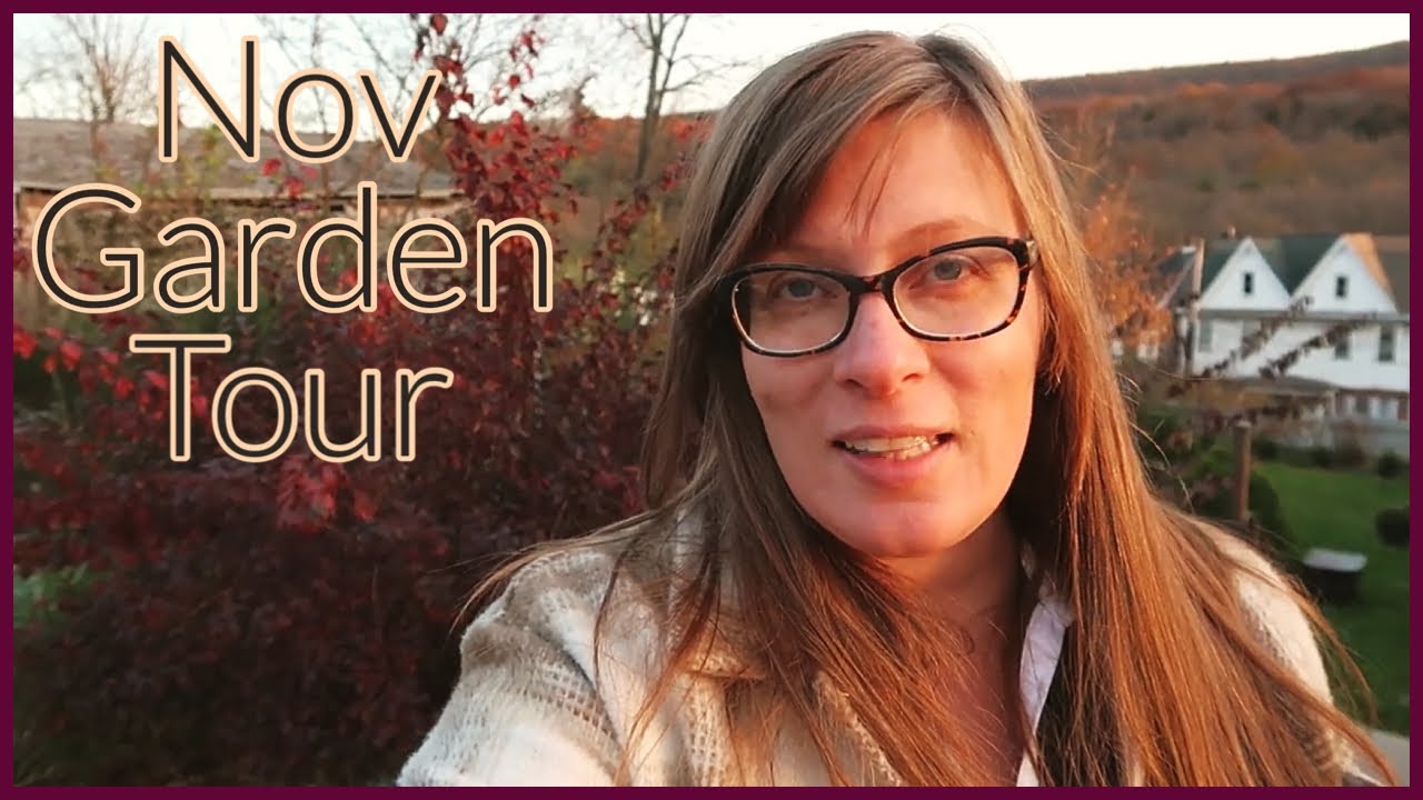 🍁🌳🍁November Garden Tour: Hydrangeas, Ninebarks, Burning Bushes and ...