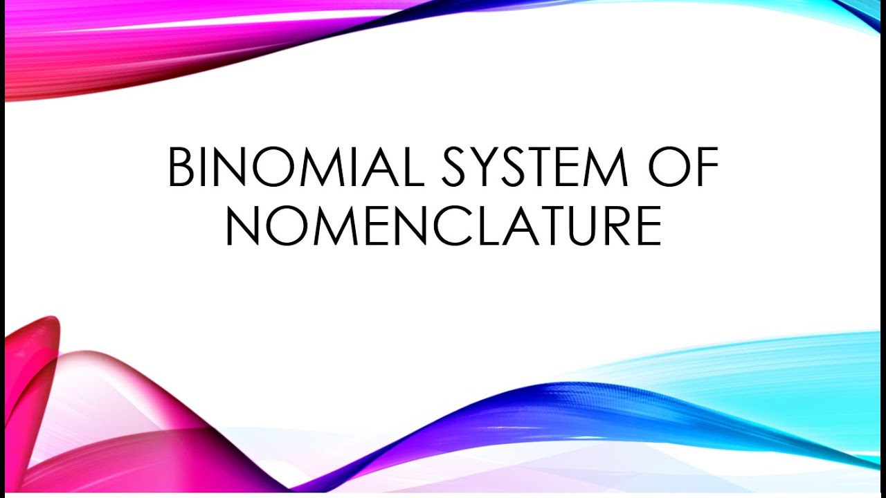 Binomial System of Nomenclature | Rules in Naming Organism | Common ...