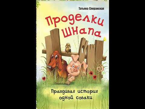 #СказкаНаНочь Проделки Шнапа - YouTube