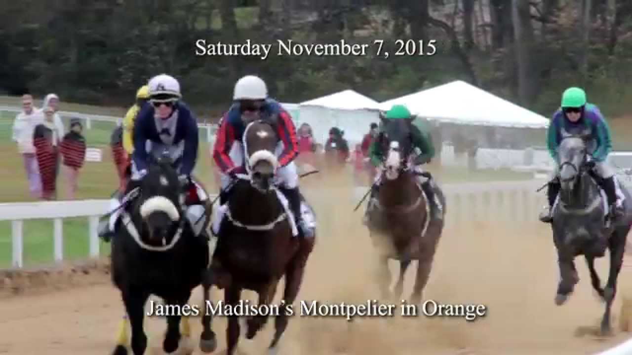 The 81st Running of the Montpelier Hunt Races - YouTube