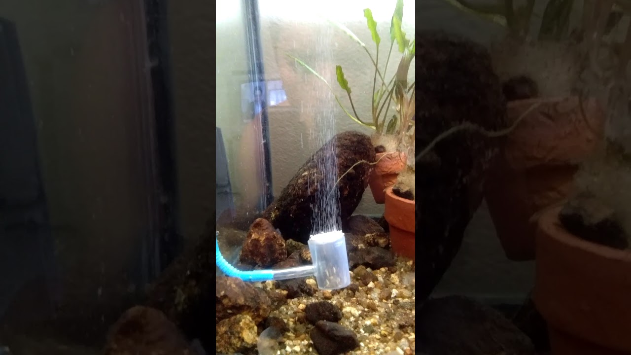 DIY Ceramic CO2 Diffuser หัวดิฟทำเอง - YouTube