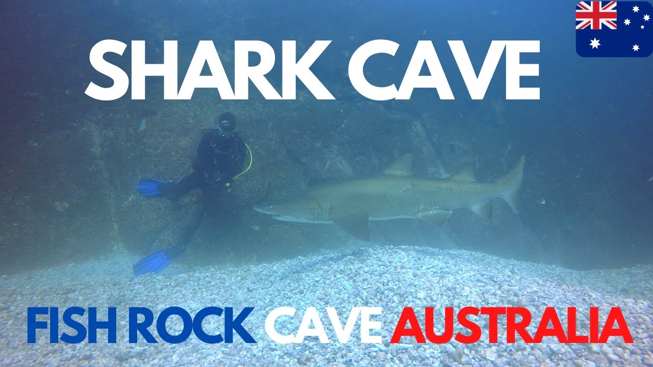 Fish Rock Cave Australia | Blue Horizon Diving - YouTube