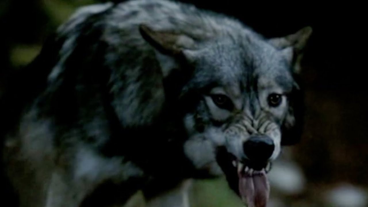 Wolves ~ My Darling - YouTube