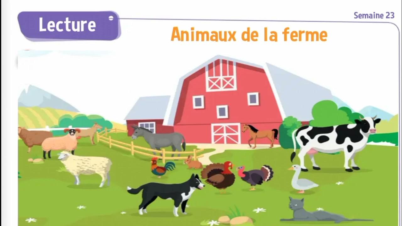 animaux de la ferme,cp,lecture - YouTube