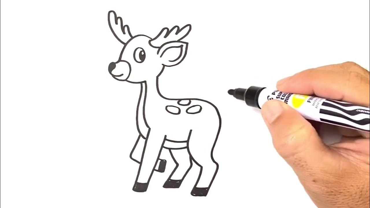 How to Draw a Fawn a baby Deer easy step bt step drawing animals - YouTube