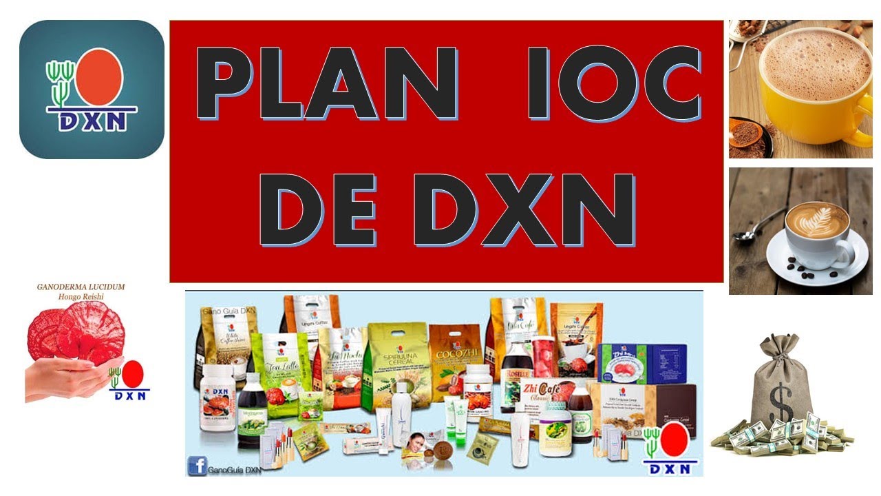Plan IOC DXN. Explicado a detalle 2024. - YouTube