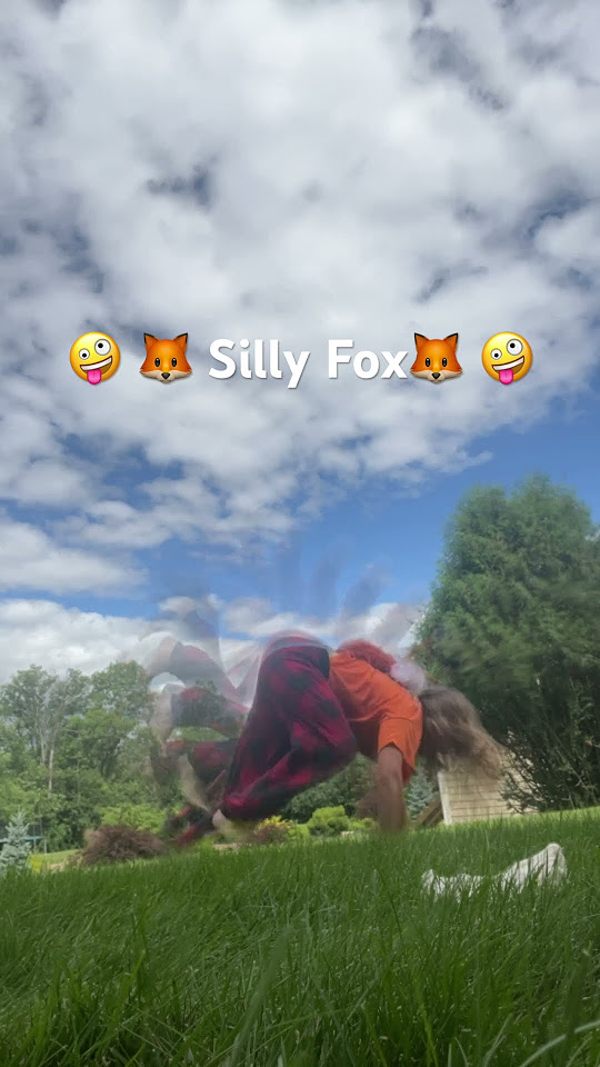 Silly fox🦊 - YouTube