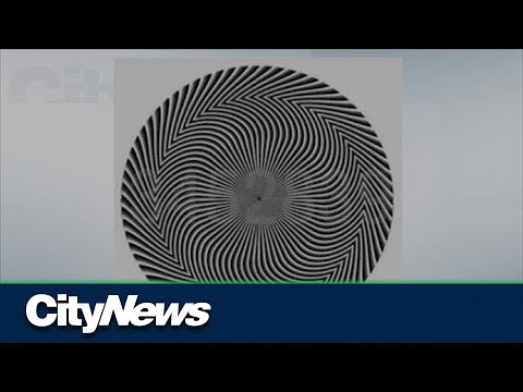 Optical illusion confuses internet users - YouTube