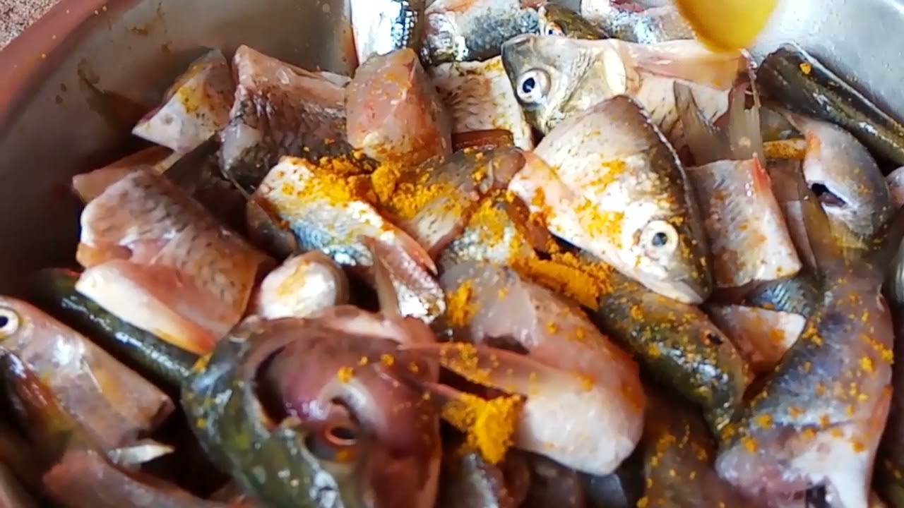 Fish cooking || Mountain Nepal/Fish Recipe - YouTube