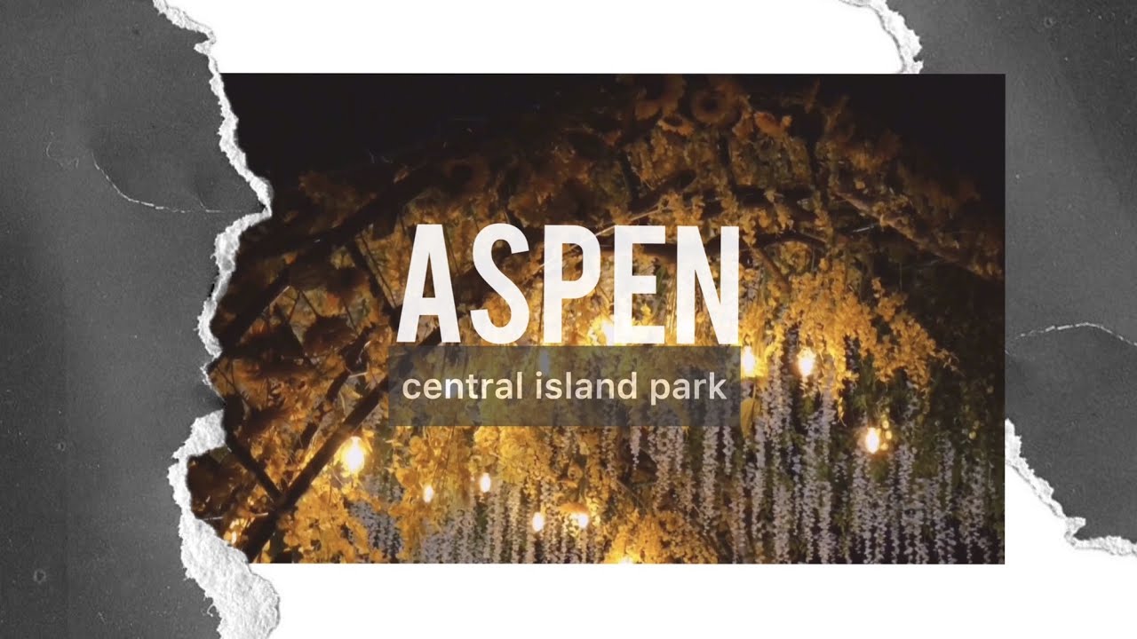 ASPEN VISION CITY central island park // vlog - YouTube