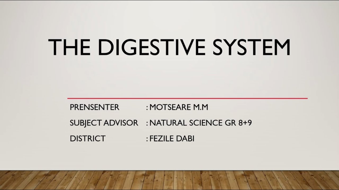 GR 9 Lesson 2 20240220 NS Digestive System - YouTube