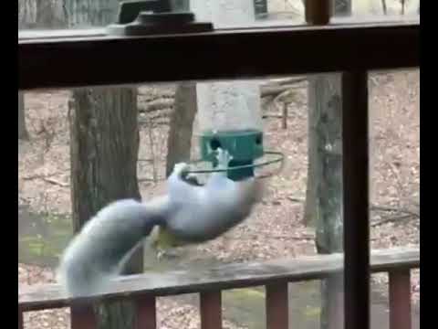 2 minutes world record,wait until the end🤯