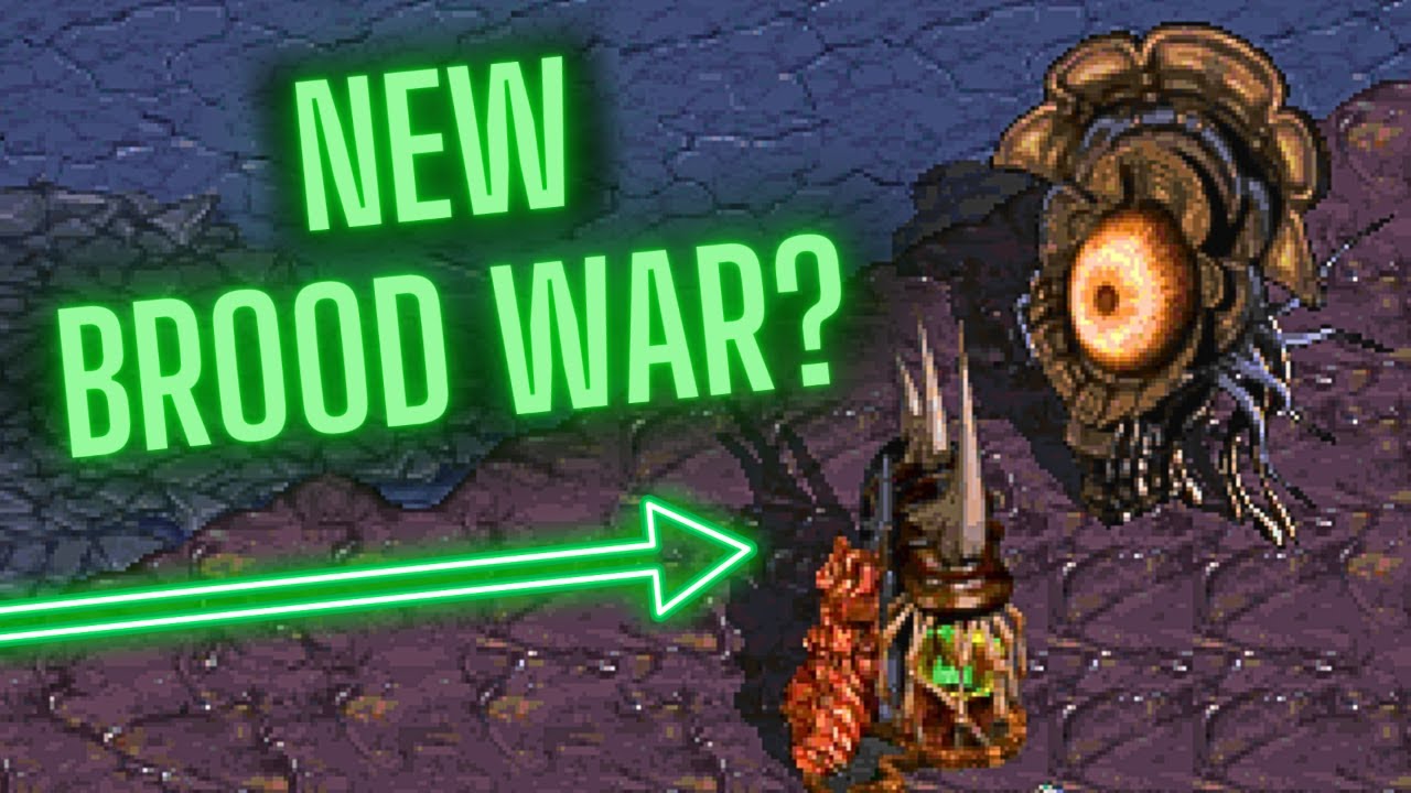 New Units Come to Brood War? StarCraft 1 gets an Overhaul with the ...