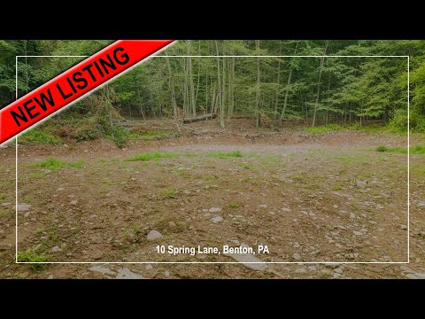 PRO 10 Spring Lane MLS