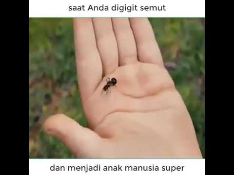 Saat Anda Di Gigit Semut Dan Menjadi Anak Manusia Super - YouTube