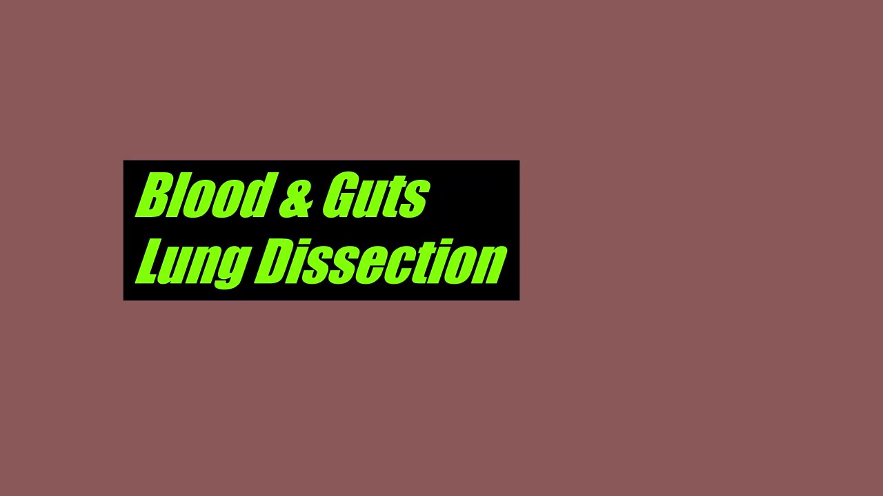 PEAC - Blood & Guts: Lung Dissection - YouTube