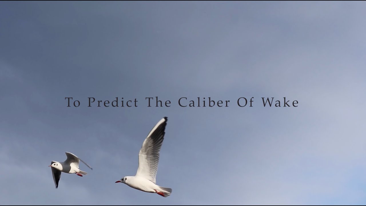To Predict The Caliber Of Wake | Jaxon Kelly - YouTube