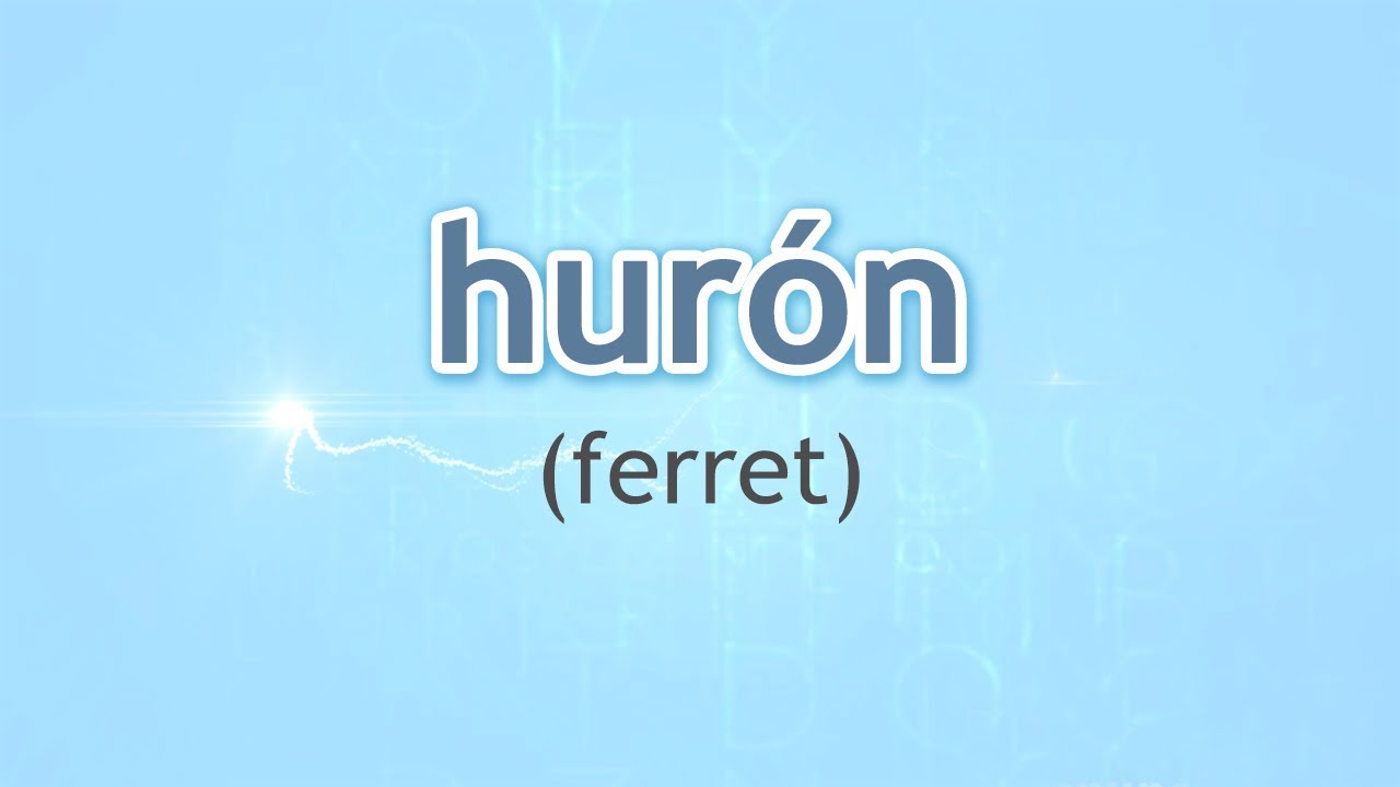How to Pronounce Ferret (Hurón) in Spanish - YouTube