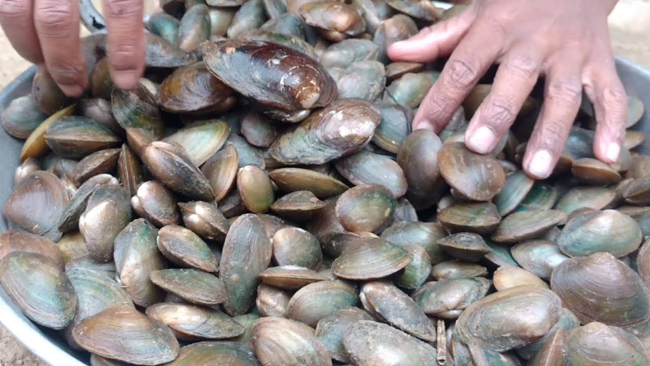 How to Cook Shipi/Shipi Cooking(Fishing Man) - YouTube