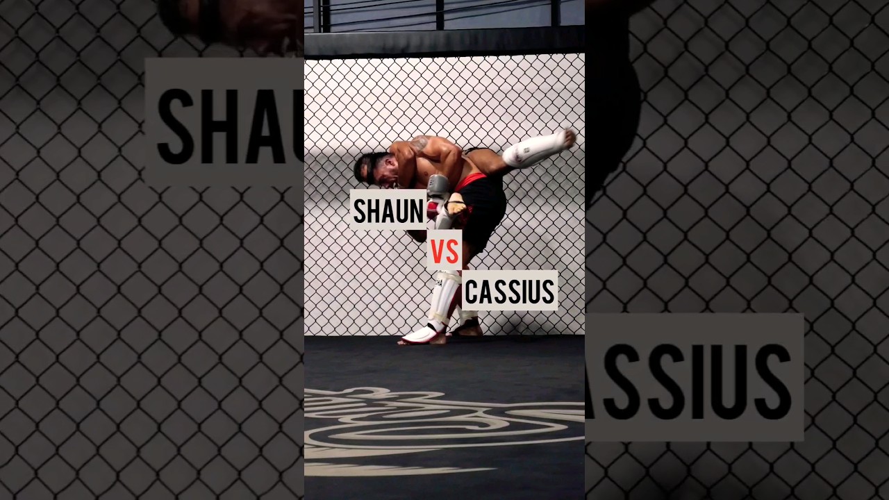MMA - Sean Kobes vs Cassius Reid - YouTube