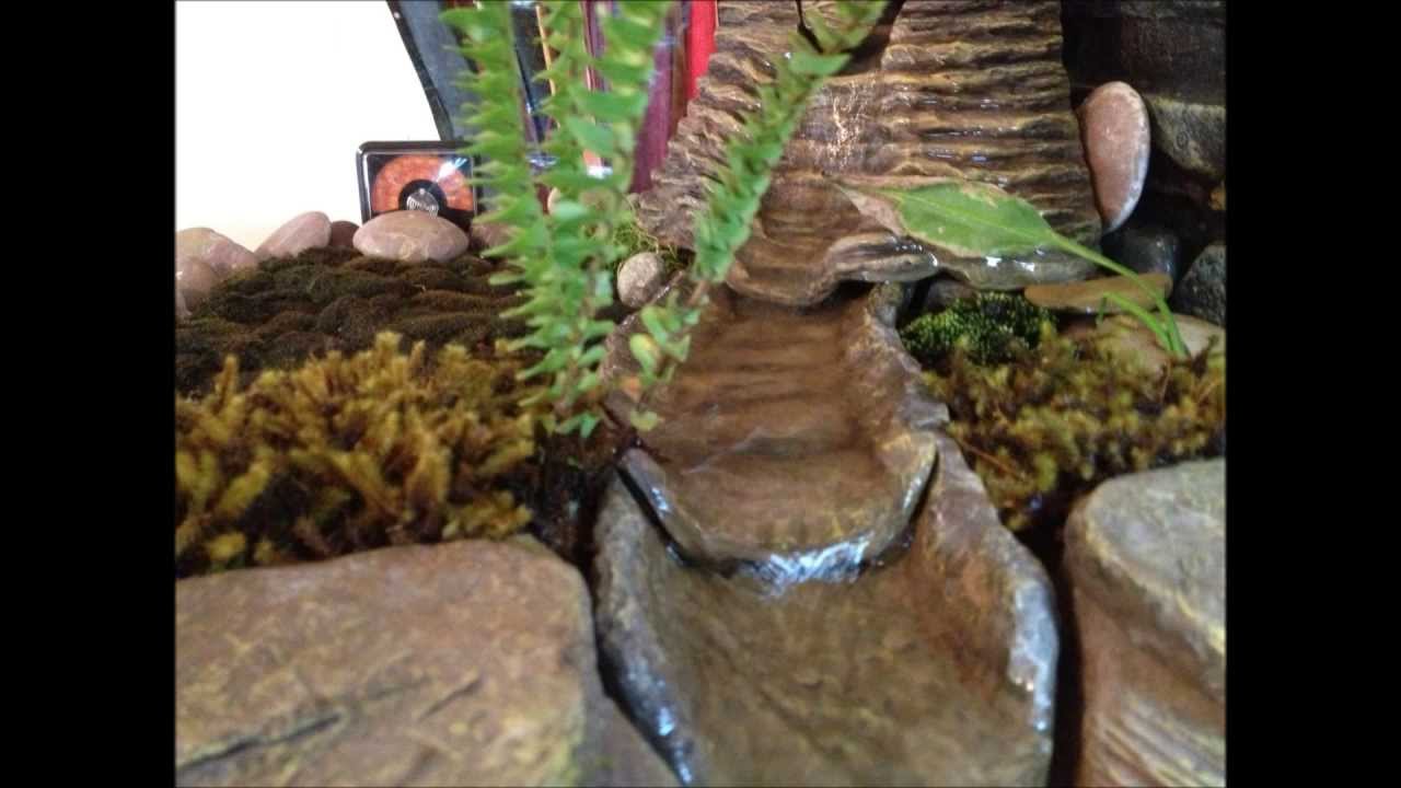 The Best Tetra Fauna Viquarium Turtle Tank Set-Up - YouTube