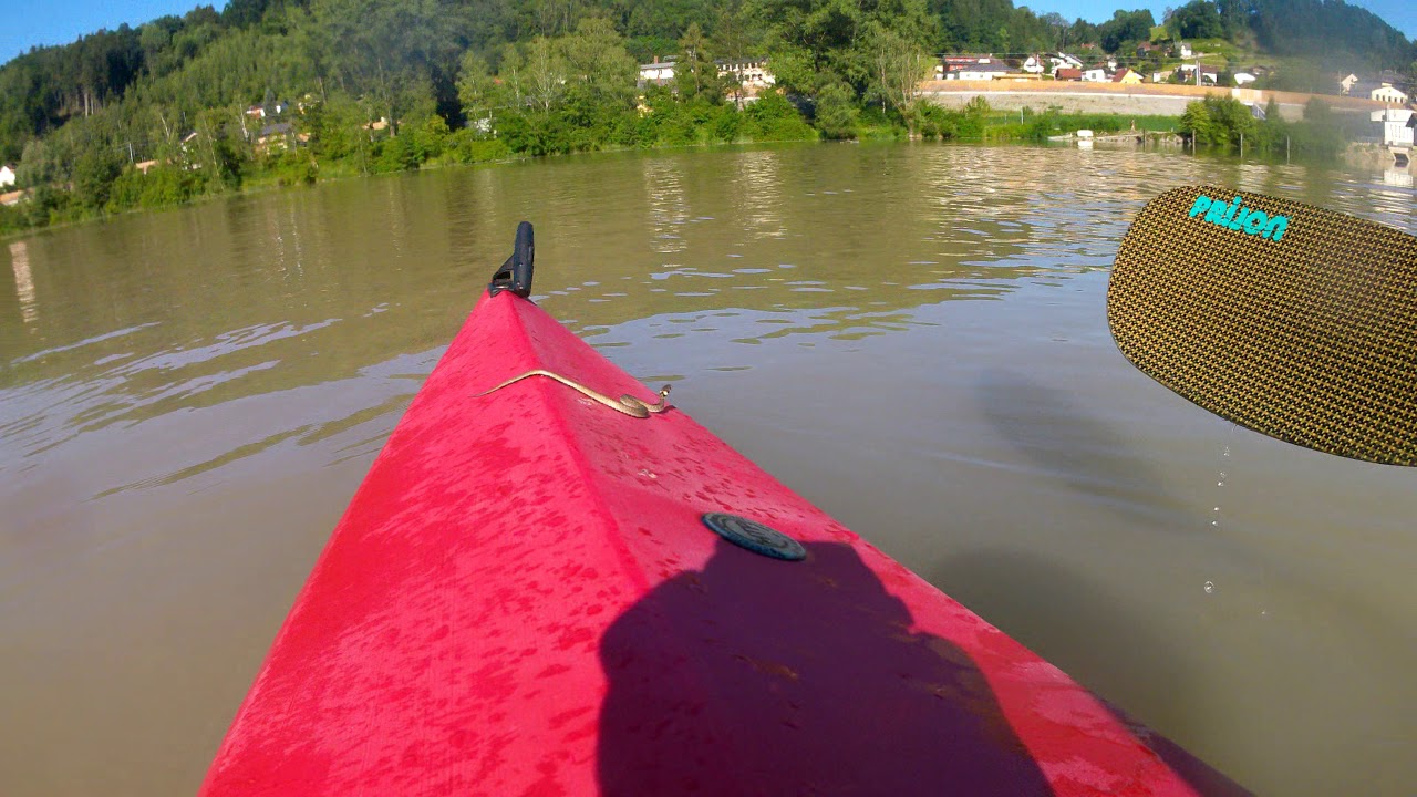 Inn Prijon Beluga - YouTube