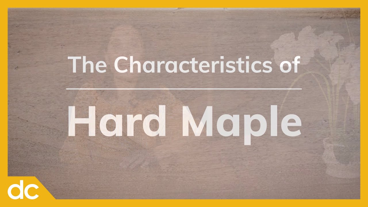 The Characteristics of Hard Maple Wood - YouTube