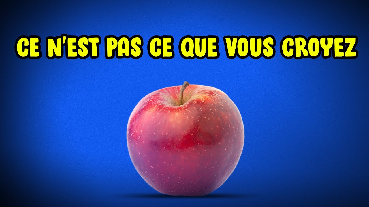 Rien n'est vrai, on nous ment depuis le début ? - FIN - SUPERLIMINAL ...