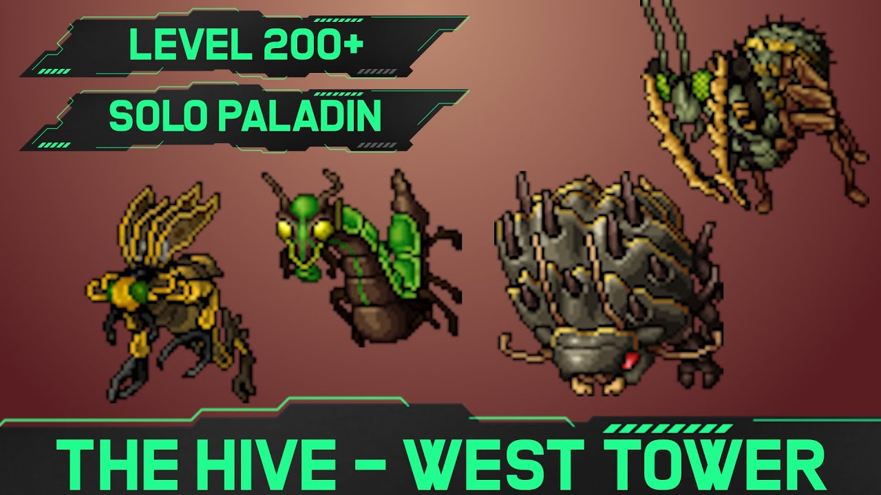 The Hive - Solo Paladin Hunt [200+] - YouTube