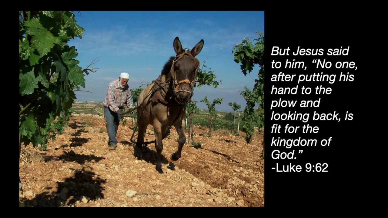 Grain Farming in Ancient Israel - YouTube