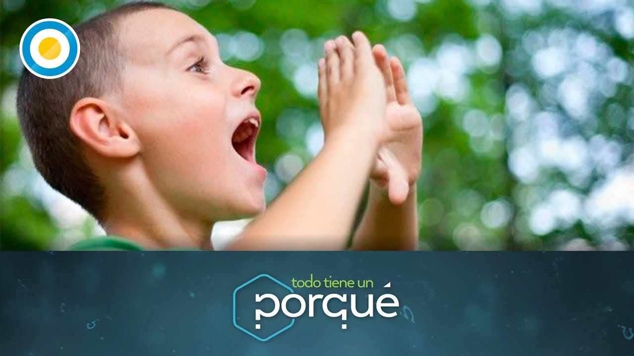 ¿Por qué se produce el eco? (1 de 3) - Todo tiene un porqué - YouTube